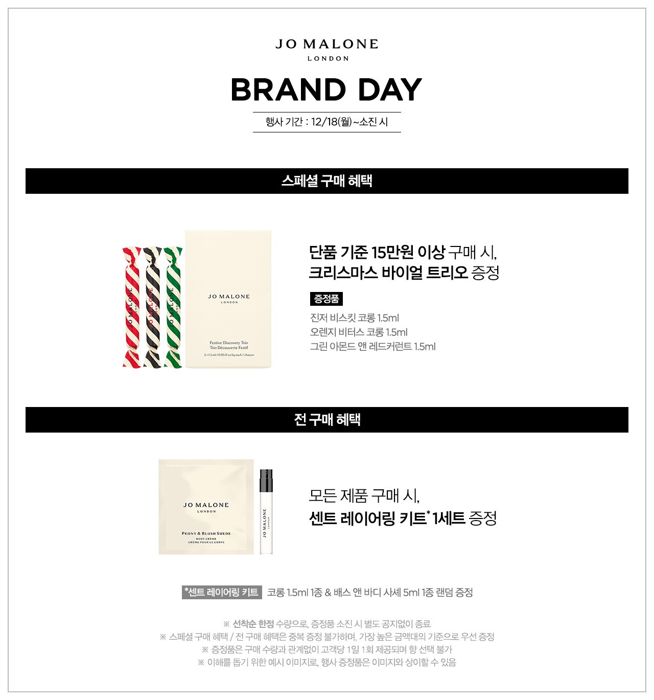 피오니 앤 블러쉬 스웨이드 디퓨저 165ml, 신세계백화점